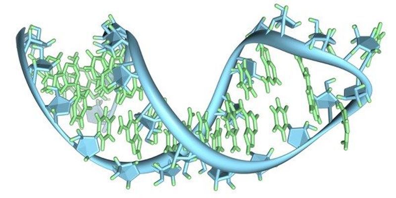 Further Evidence that Life Might Have Started with RNA | The Scientist