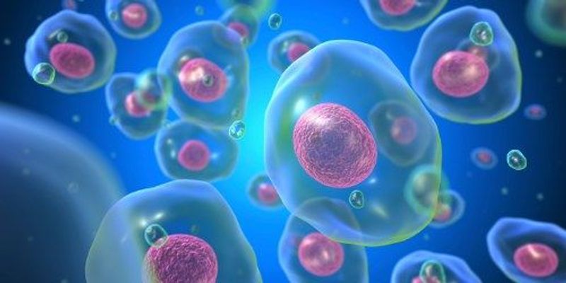 LabQuiz: Cell Biology | The Scientist