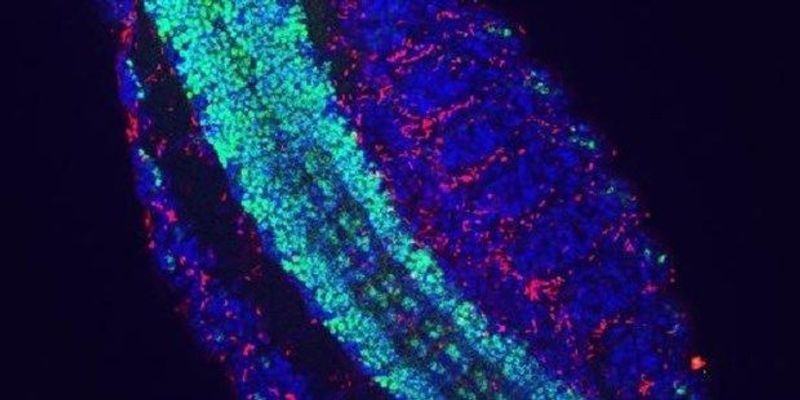 Image of the Day: Doomed | The Scientist Magazine®