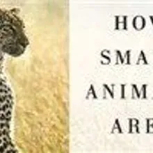 Book Excerpt from Are We Smart Enough to Know How Smart Animals Are ...
