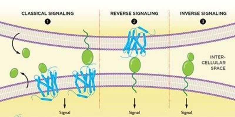 Instant Messaging | The Scientist