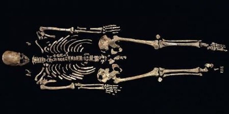 US Government to Repatriate Kennewick Man | The Scientist