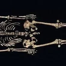 US Government to Repatriate Kennewick Man | The Scientist