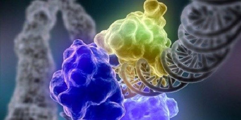 Advances in Genome Editing | The Scientist