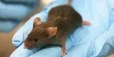 Cancer Tissue Repository Launched | The Scientist