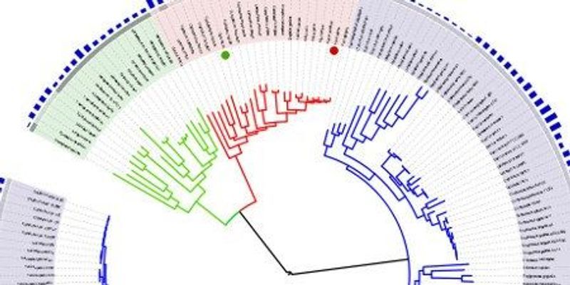 Branching Out | The Scientist