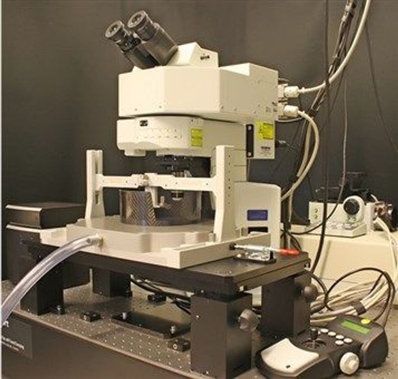 Novel In-vivo Imaging Solution for Neuroscientists | The Scientist