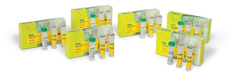 Bio-Rad Expands ddPCR™ Multiplex Mutation Screening Kit | The Scientist Bio-Rad Expands ddPCR™ Multiplex Mutation Screening Kit | The Scientist