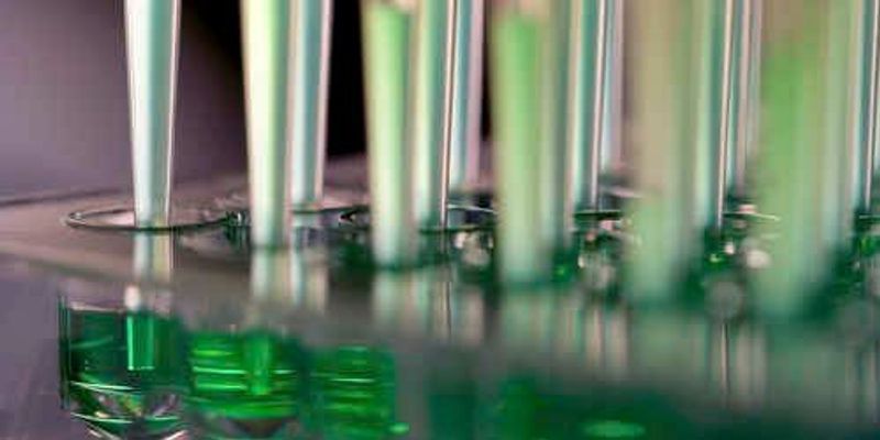 High Throughput Screening: Challenges and Opportunities | The Scientist