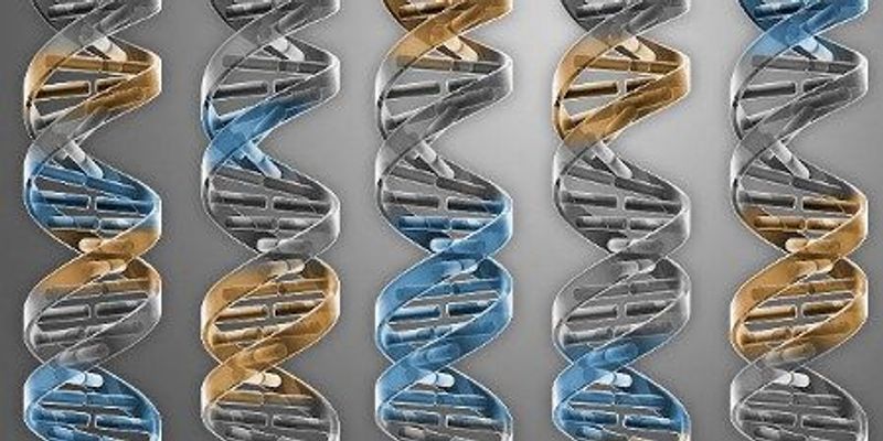 Minimal Genome Created | The Scientist