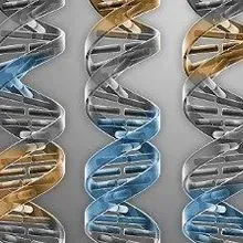 Minimal Genome Created | The Scientist