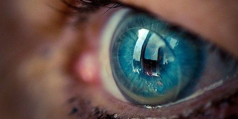 Contacts May Affect Eye Microbiome | The Scientist