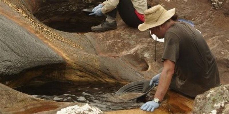 Microbial Miners | The Scientist