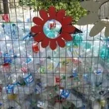 Microbial Recycler Found | The Scientist