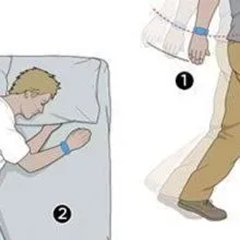 Sleep/wake Cycle | The Scientist
