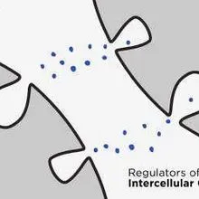 Beckman Coulter: Exosome Isolation | The Scientist