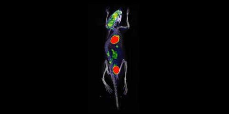 PerkinElmer: G8 PET/CT Preclinical Imaging System | The Scientist