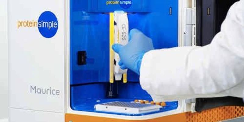 ProteinSimple: Maurice | The Scientist