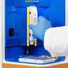 ProteinSimple: Maurice | The Scientist
