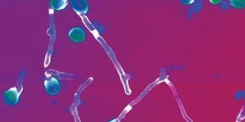 Hydropowered Pollen | The Scientist