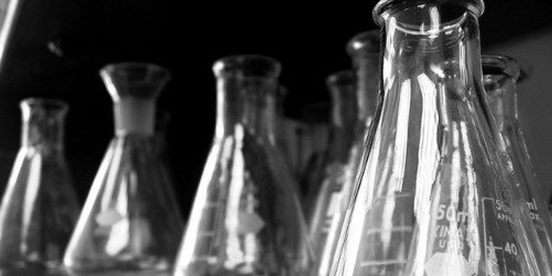 New Year, New Lab | The Scientist