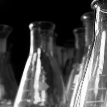 New Year, New Lab | The Scientist