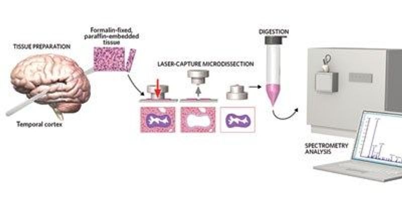 Practical Proteomes | The Scientist