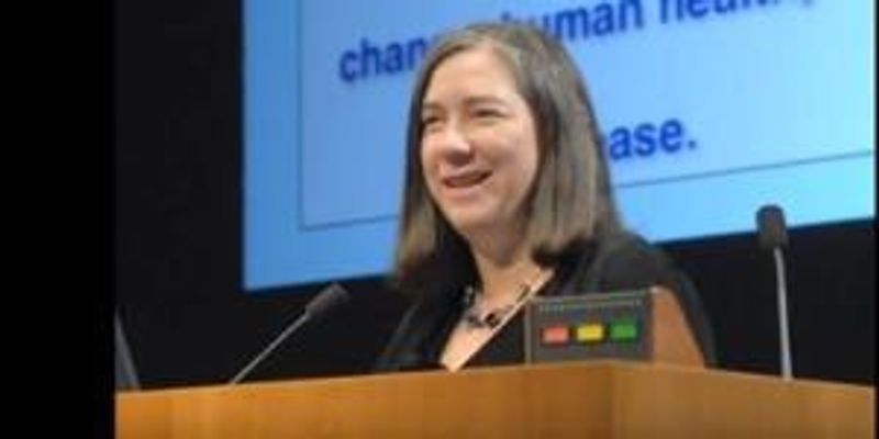 Master Folder | The Scientist