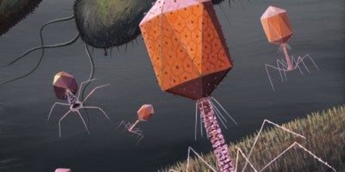 Elizabeth Kutter's Instagram, Twitter & Facebook on IDCrawl