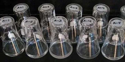 Constant Evolution | The Scientist