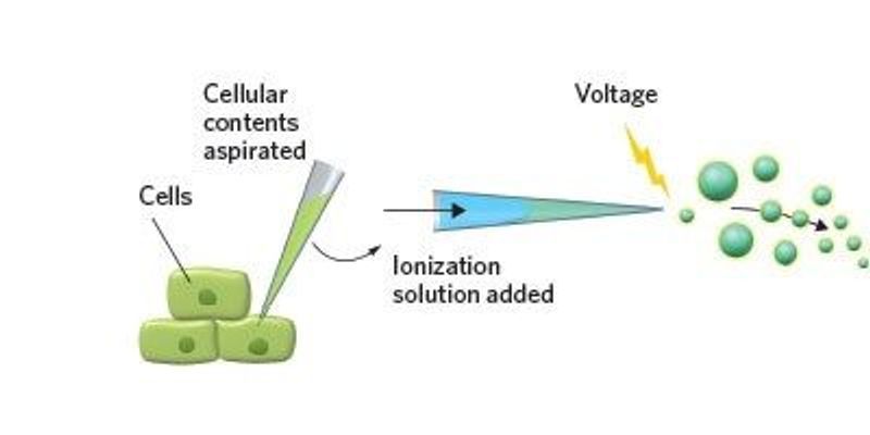 Single-Cell Mass Spec | The Scientist