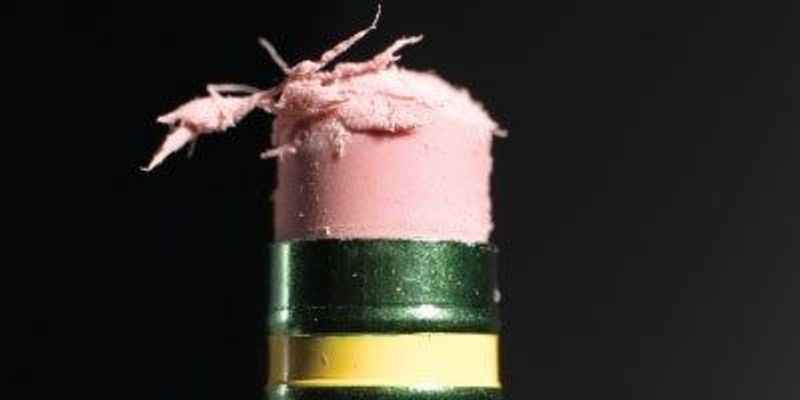 Self Correction | The Scientist