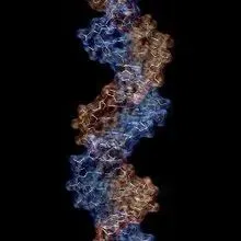 Gene Drive | The Scientist