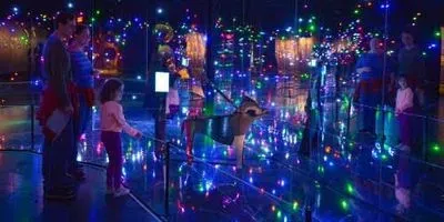 Exploring the Inner Universe | The Scientist