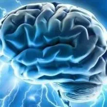 European Brain Project Extended | The Scientist