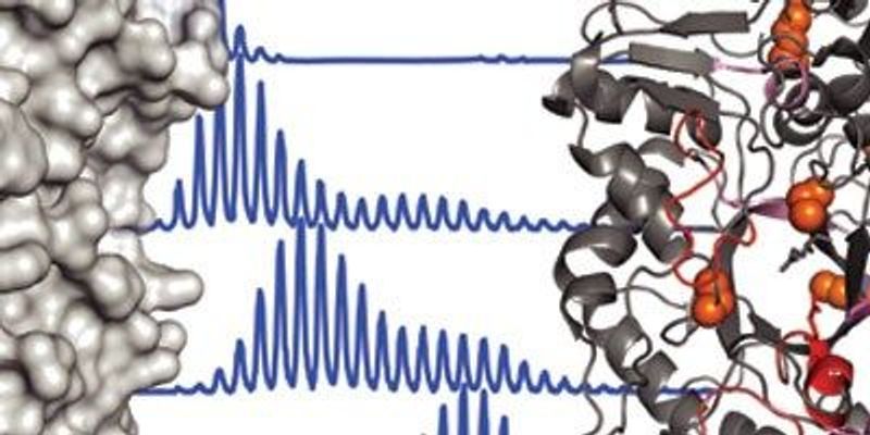 Cracking the Complex | The Scientist