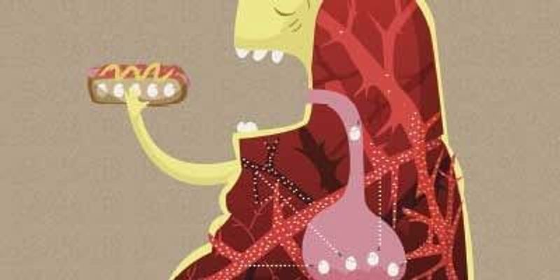 The Changing Face of Obesity | The Scientist