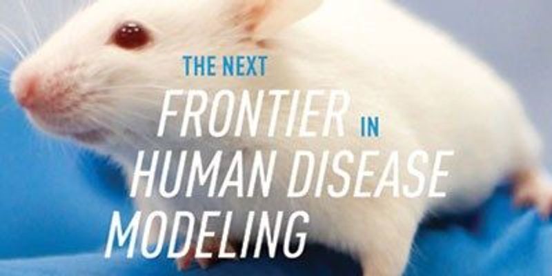 The Next Frontier in Human Disease Modeling | The Scientist