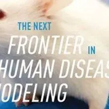 The Next Frontier in Human Disease Modeling | The Scientist