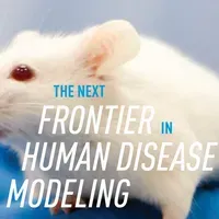 The Next Frontier in Disease Modeling | The Scientist