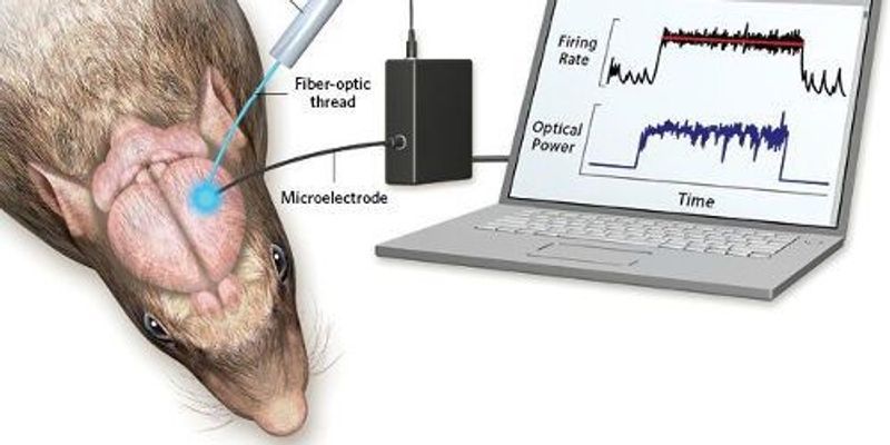 Closing the Loop | The Scientist