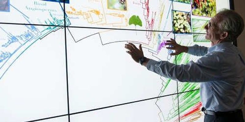 Tree of Life v1.0 | The Scientist