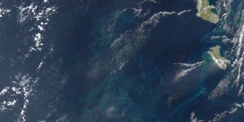 Adapting to Elevated CO2 | The Scientist