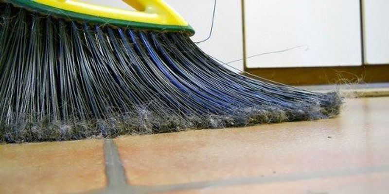 Microorganisms Make a House a Home? | The Scientist