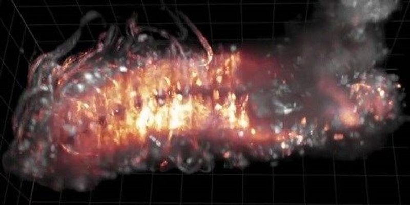 Fruit-Fly Neurons in Action | The Scientist