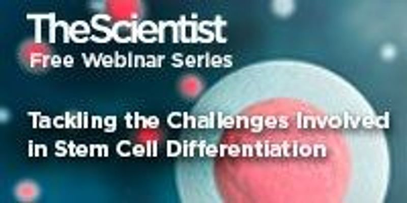 Tackling the Challenges Involved in Stem Cell Differentiation | The ...
