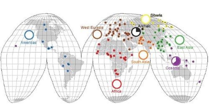 Genomic Elements Reveal Human Diversity | The Scientist