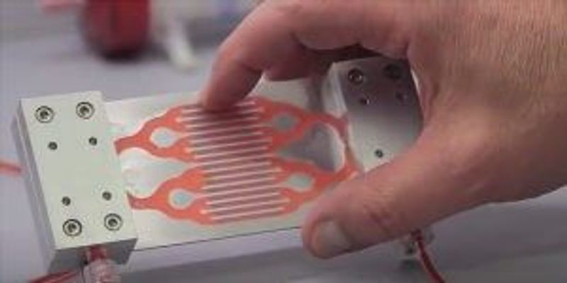 RoboSpleen | The Scientist