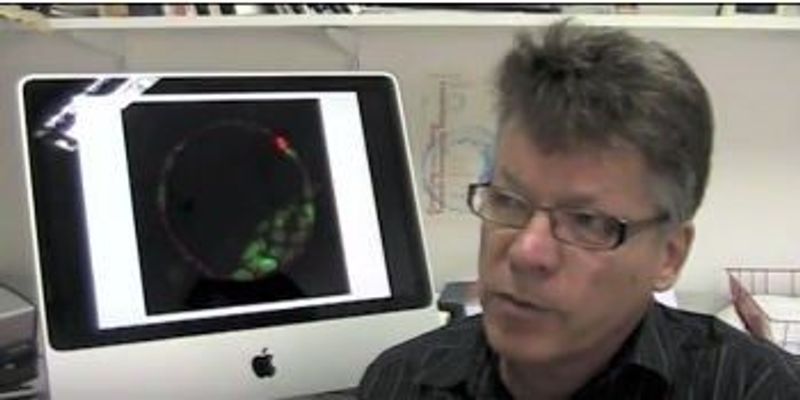 Mr. Epigenetics | The Scientist