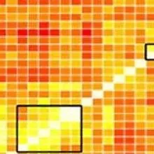 Sarah C.P. Williams Author Profile | The Scientist